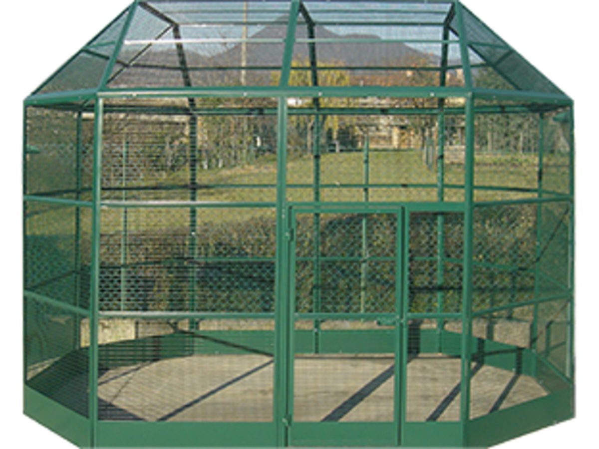 Volières - Cages & Volières - OiseauxVolière Roma vert 350x230x265cm (5 ...