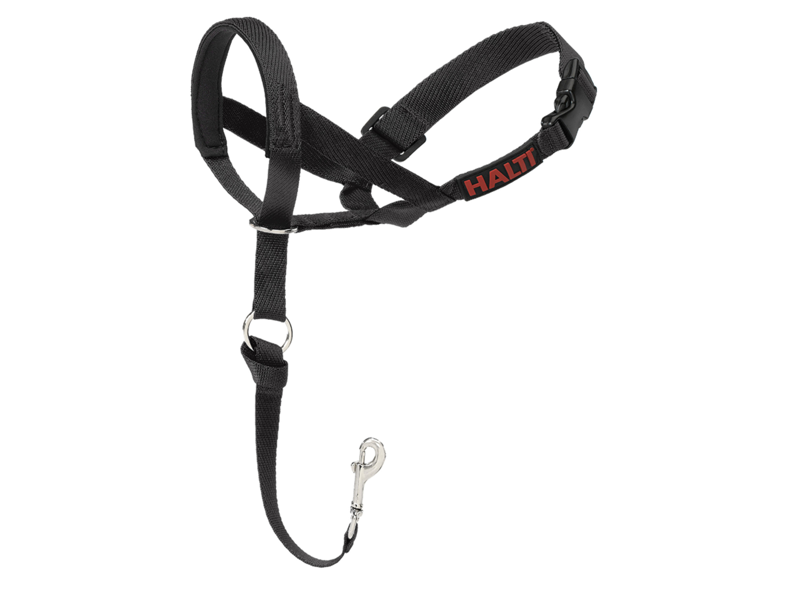 Training and tracking lead - Training - DogHALTI Headcollar black 2 ...