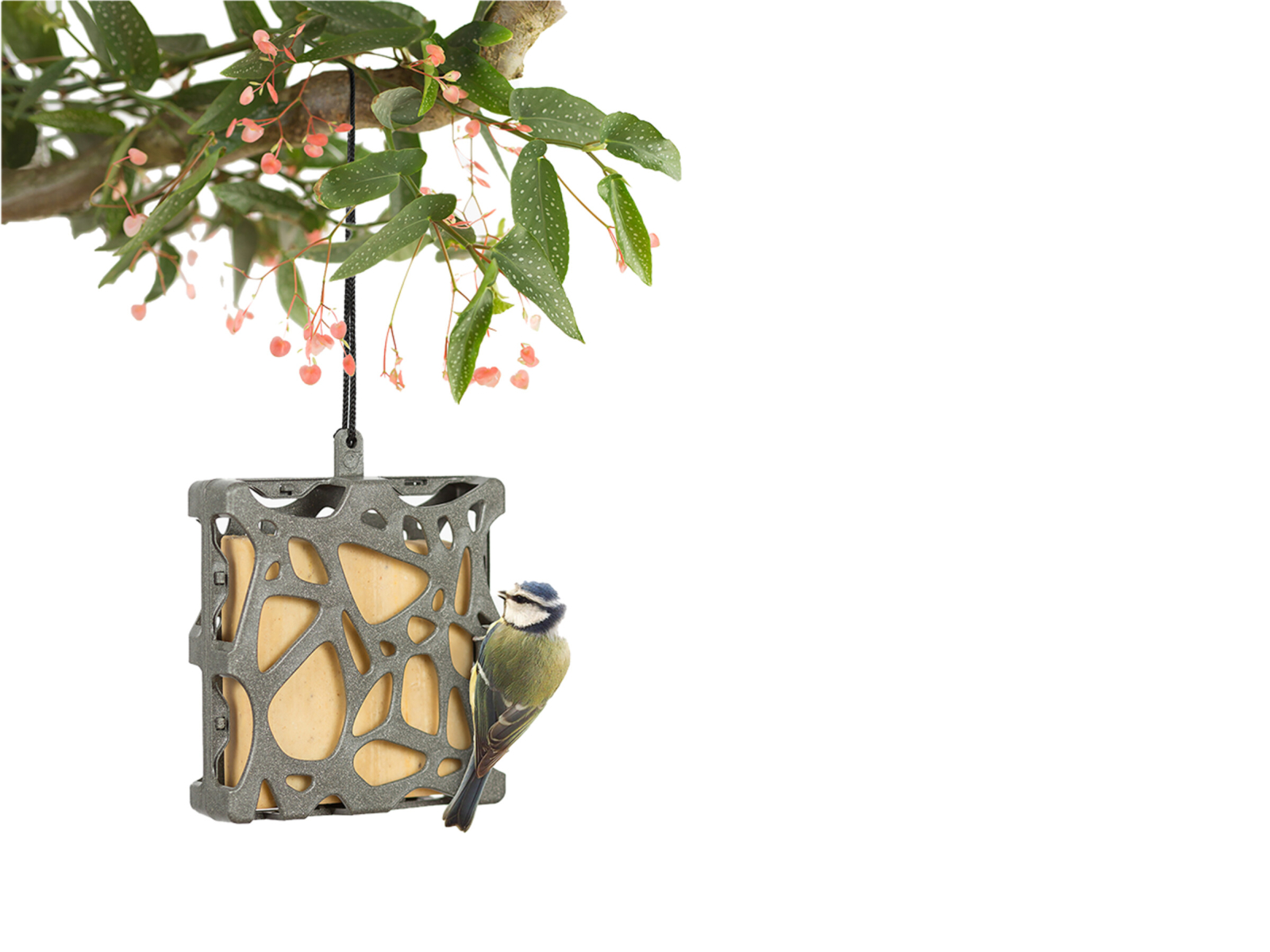 Feeding pillars & silo's - Accessories - Wild birdsSuet block feed ...