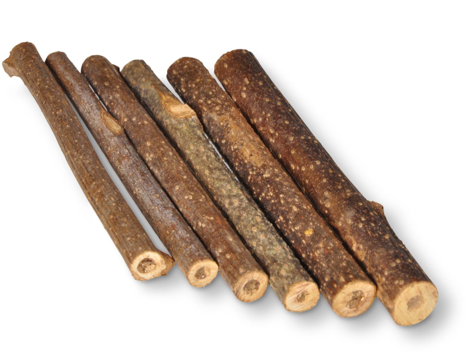 Snack Vadigran Rodent - Snacks - Small animalsChewing sticks kiwi 15cm ...