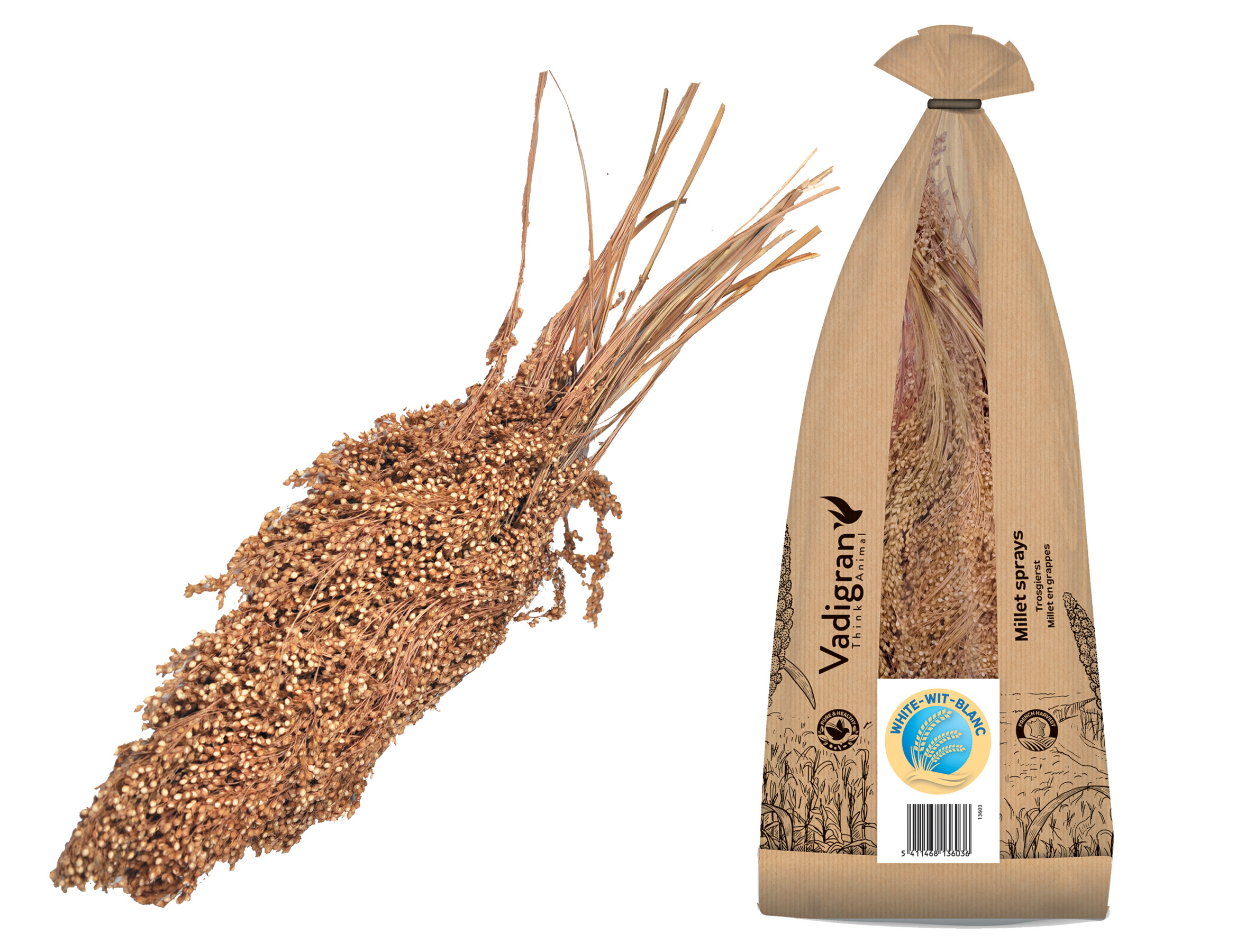 Single grains and seeds - Food - BirdsFrench millet sprays white - Vadigran