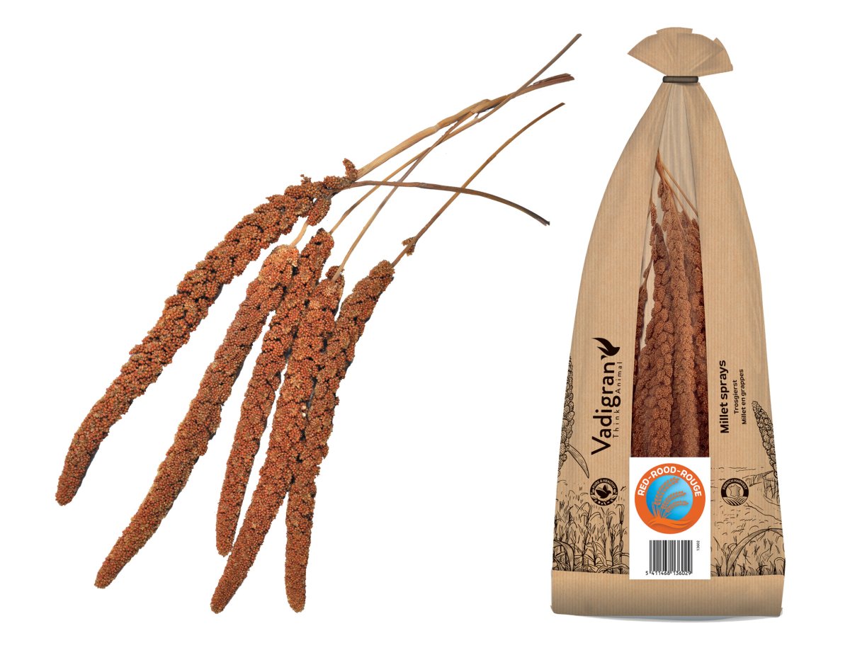 Single grains and seeds - Food - BirdsFrench millet sprays red - Vadigran