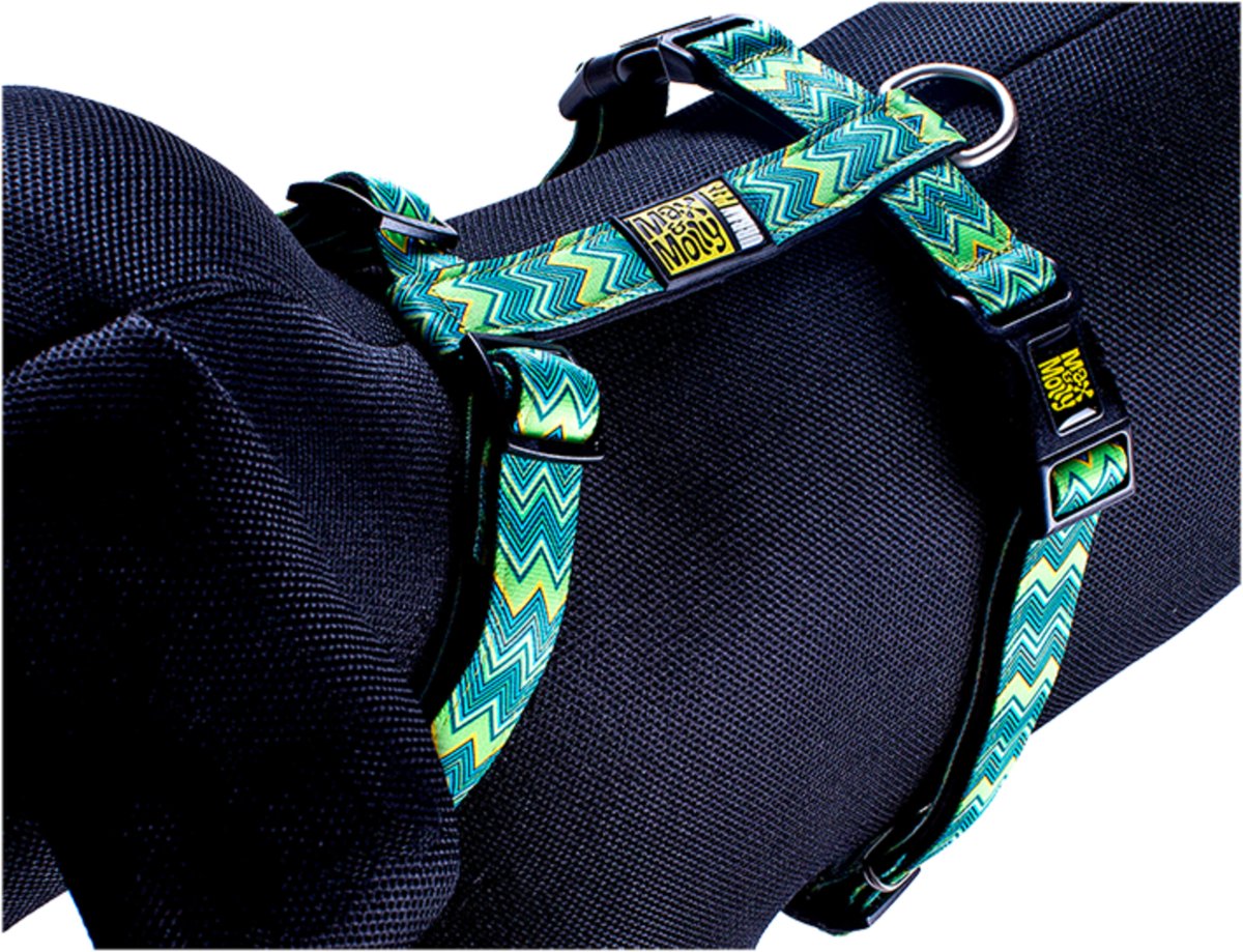 CO and LE Max and Molly - Walk - DogHarness L Vintage neck 46-77cm ...