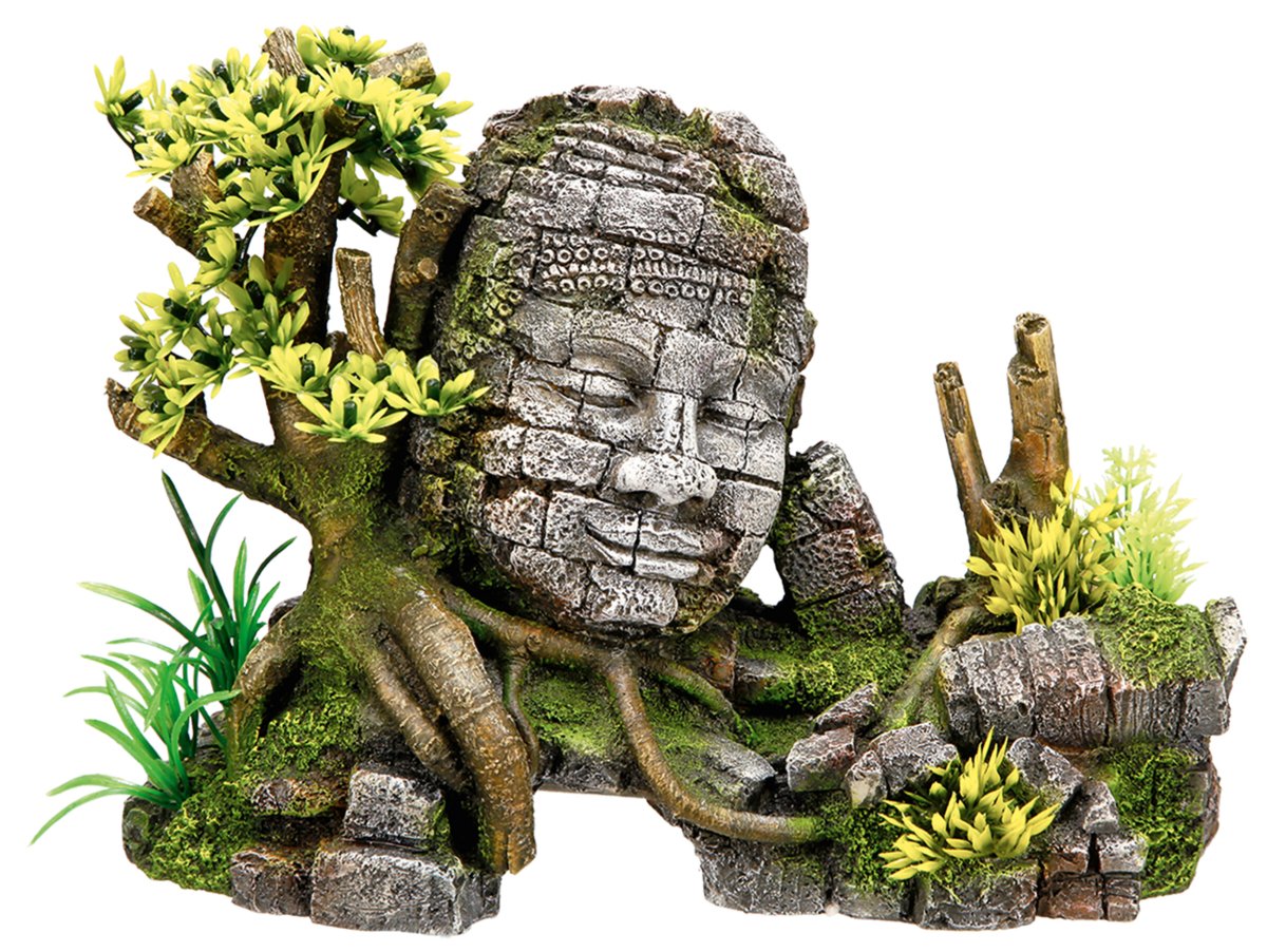 Decoratie vis - Aquariums & Accessoires - VissenAqua Deco Angkor Wat ...